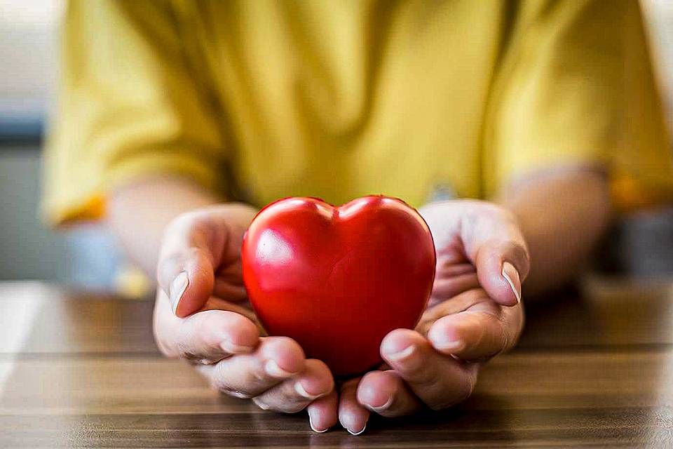 Melhores do ESG: Filantropia de impacto é o caminho da evolução social ...